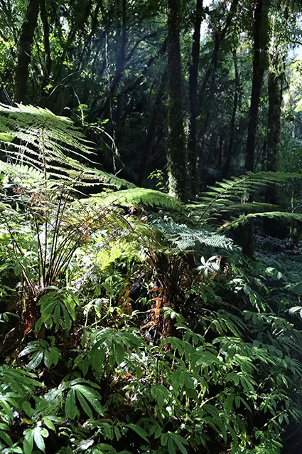 Our District - Waitomo District Council