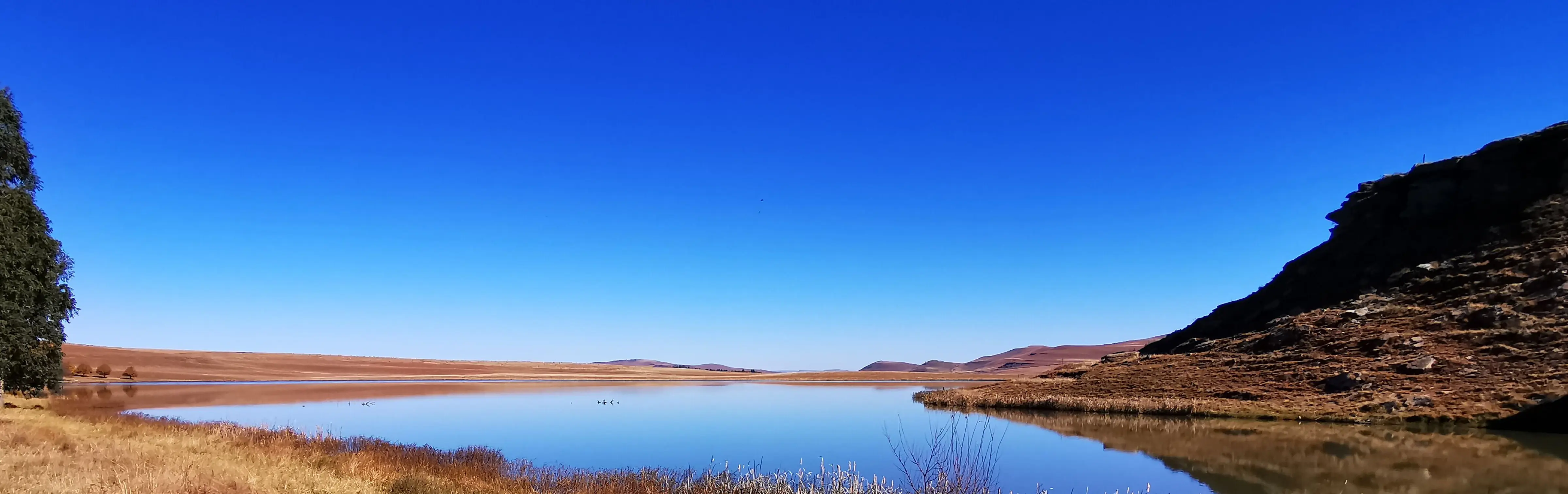 Waitomo District Council