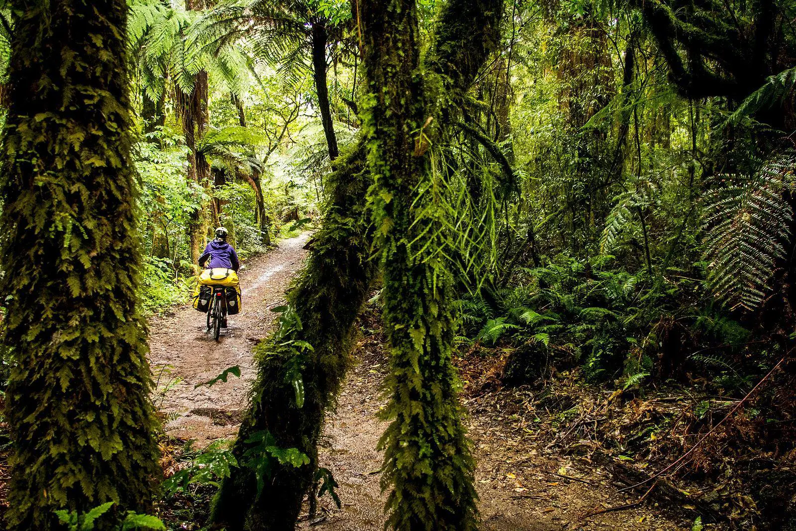 Our District - Waitomo District Council